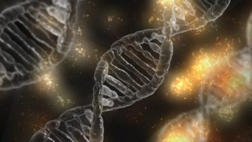 DNA, RNA ja geenit sekä geneettinen koodi – Elämän ilmiöiden tarkkailua ...